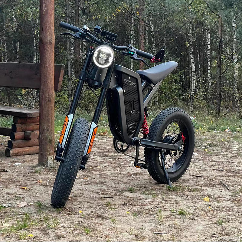 EKX X21 Adults Electric Bike 2000W 48V35AH 55km/h Samsung Battery Snow ...