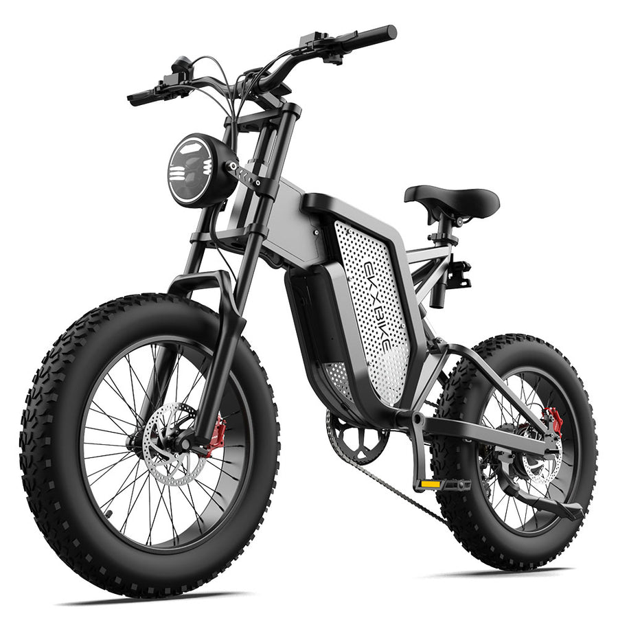 EKX X20 Electric Bike Mountain Moped Ebike 20 Inch Fat Tire 2000W 48V ...
